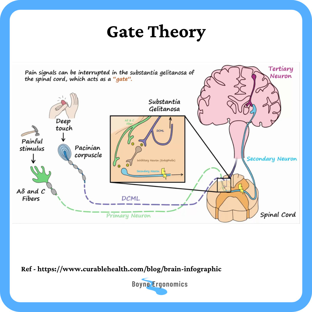 What Came First, The Stress or the Pain!? - Boyne Ergonomics