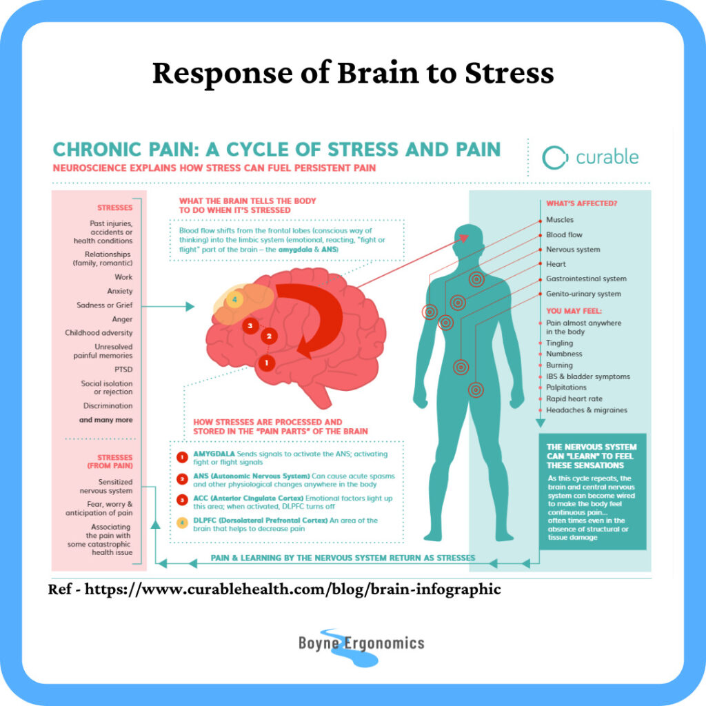What Came First, The Stress or the Pain!? - Boyne Ergonomics